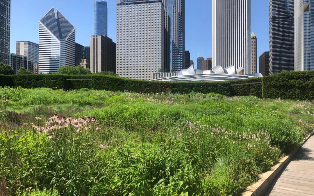 More than $6.5 billion in pipeline projects signal downtown ...